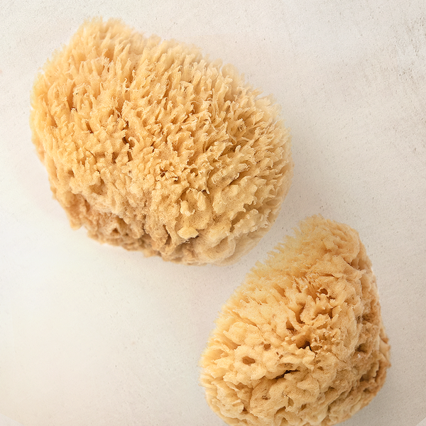 Mediterranean Wool Sponges – BathAccessoriesWholesale